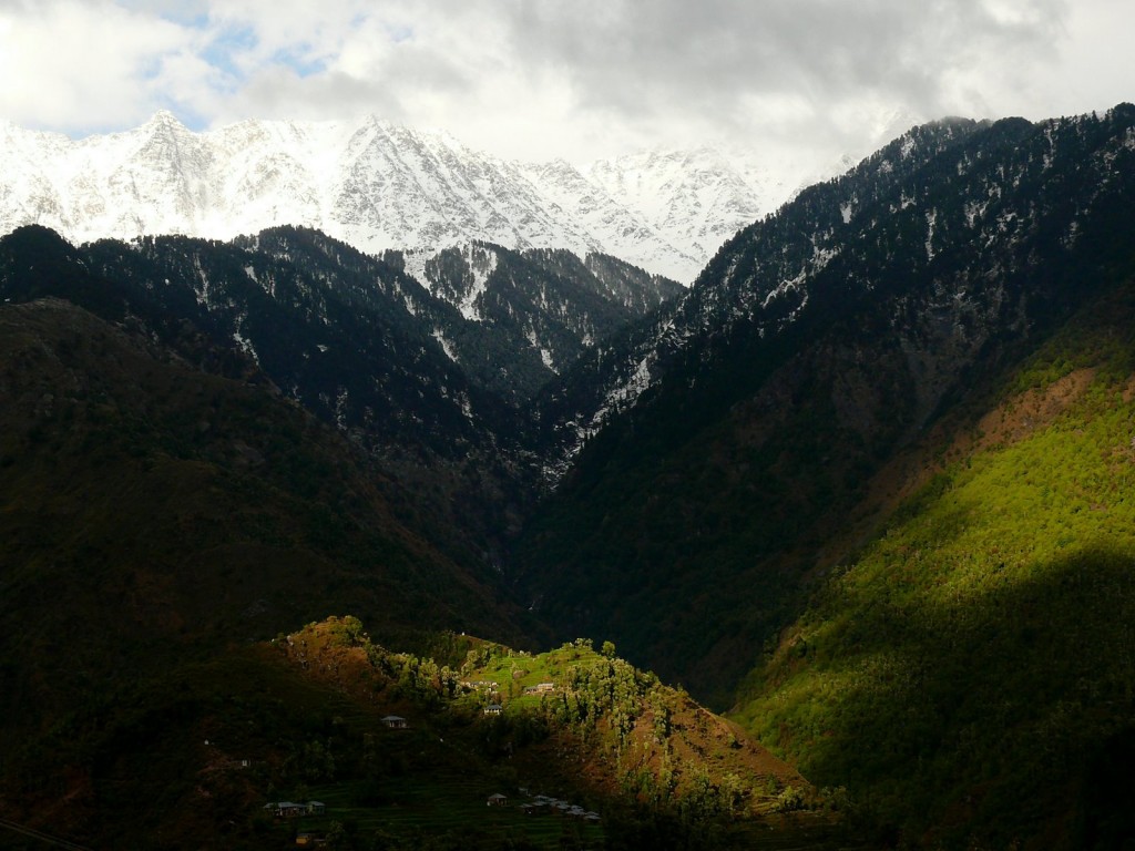 Home of the Western Tragopan – Great Himalayan National Park | The OK ...