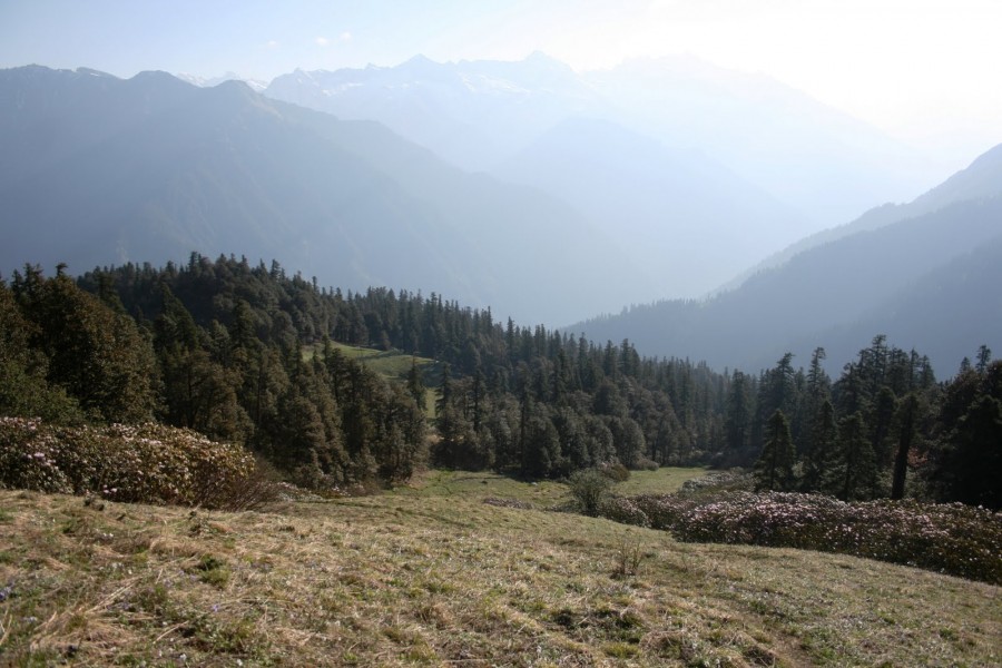Home of the Western Tragopan – Great Himalayan National Park | The OK ...