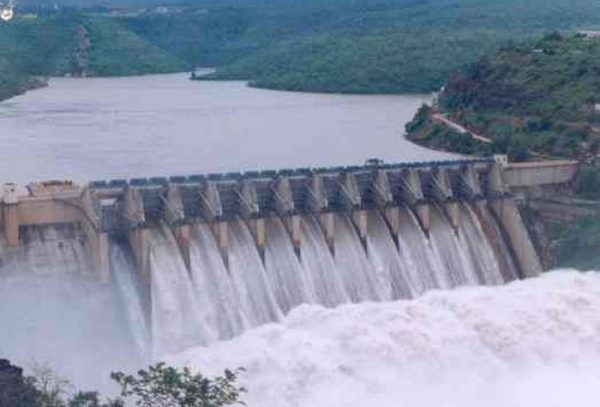 Birds and water sports at Pong Dam | The OK Travel