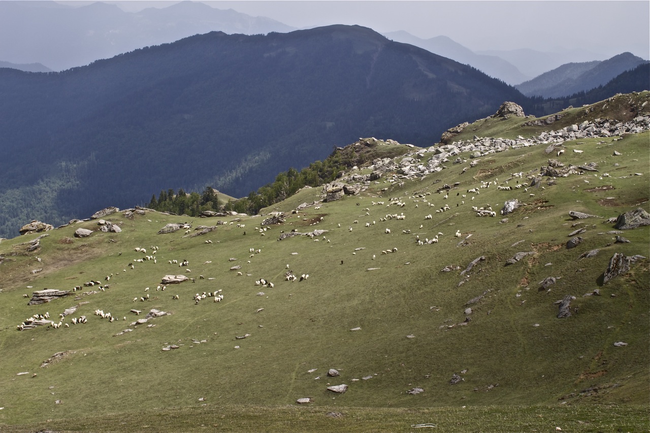 Unexplored Destination: Chanshal Heights | The OK Travel